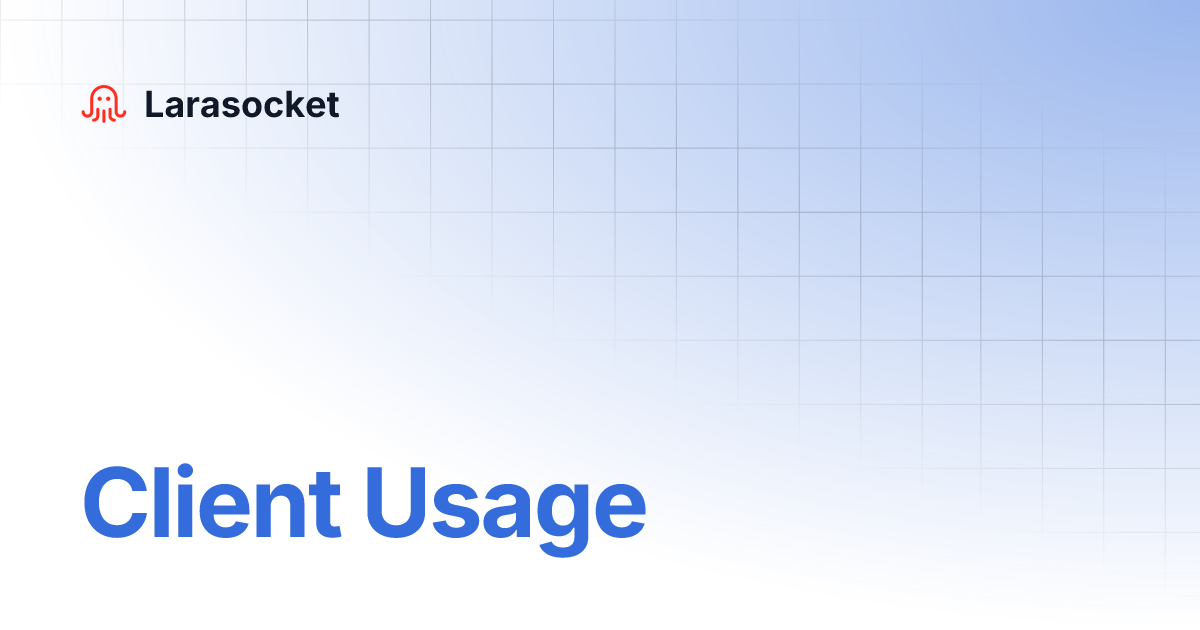 Client Usage | Larasocket